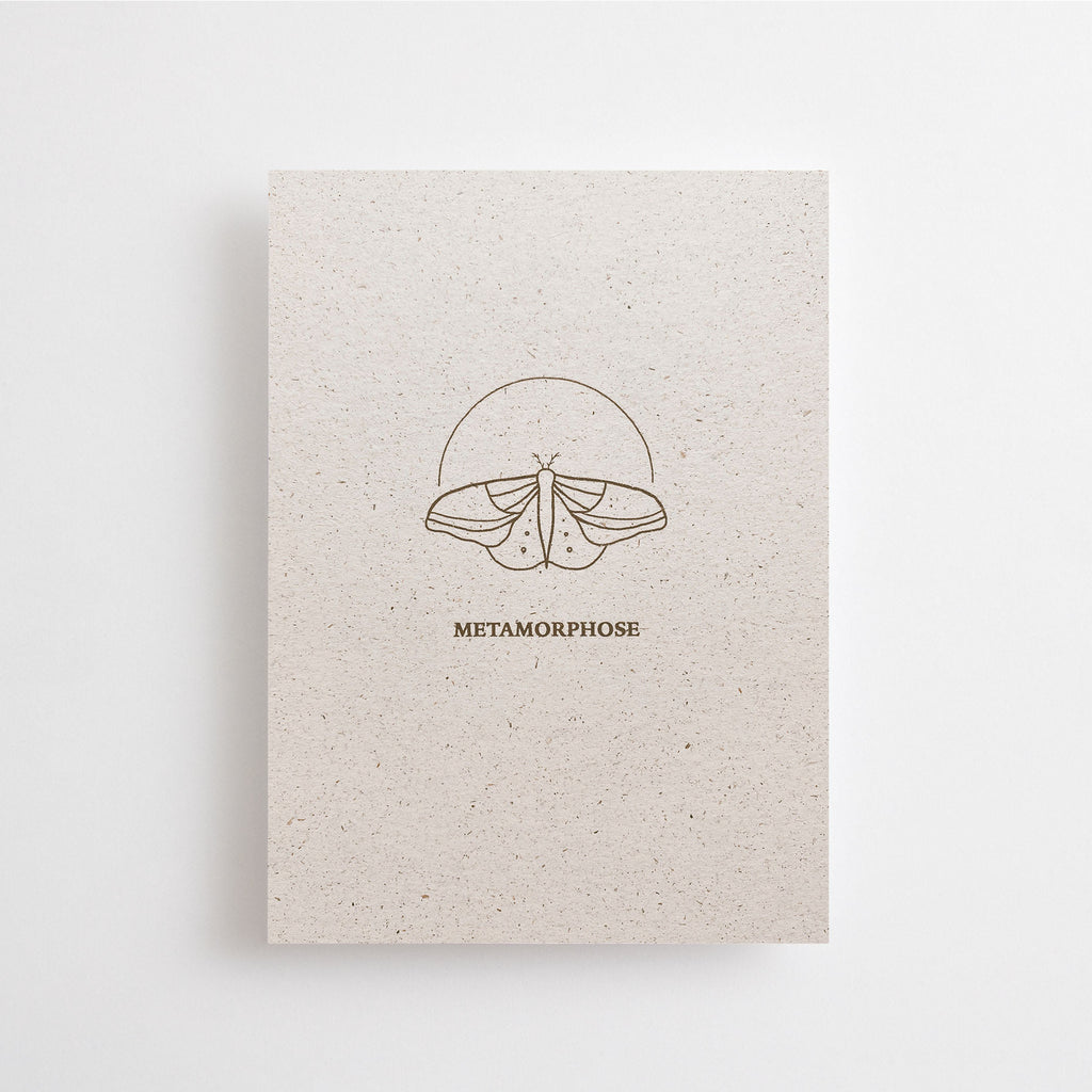 METAMORPHOSE - POSTKARTE AUS GRASPAPIER – Anna Cosma